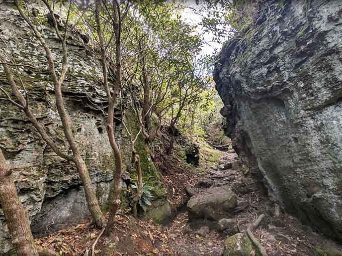 Massive sandstone walls squeeze the trail into something that feels ancient, mysterious, and genuinely cinematic all at once.