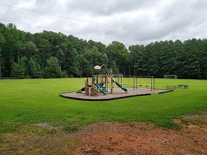 Northwest District Park: wide open green space, fresh air, and zero notification badges demanding your attention.