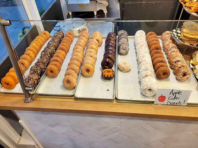 Apple cider donuts lined up like a fall harvest parade, and every single one deserves a standing ovation.