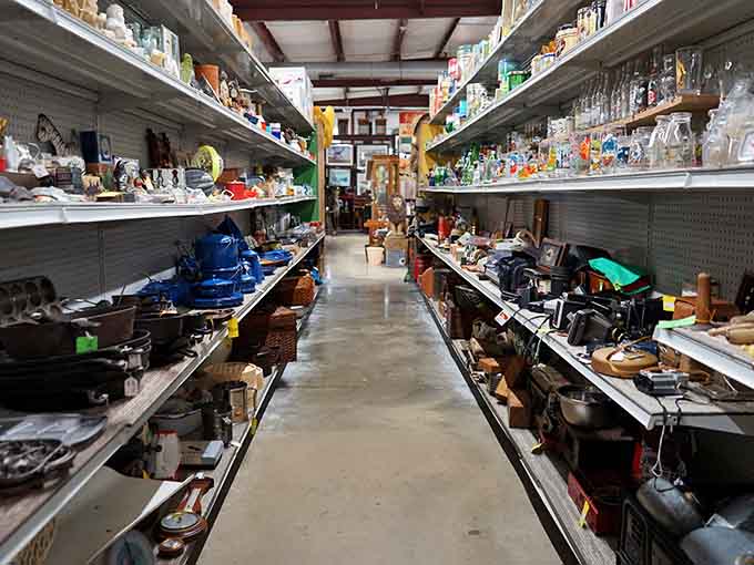 Aisles of possibility stretch before you, filled with everything from practical necessities to delightful impulse purchases you'll justify later.