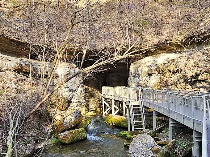 A wooden bridge leads straight into the mouth of a cave, and yes, you absolutely should follow it.