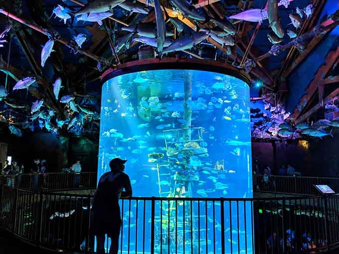 The Wonders of Wildlife aquarium is the kind of place that makes adults forget they're supposed to act mature.