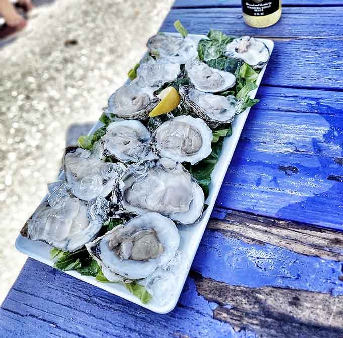 A full tray of raw oysters on ice, glistening and ready. The ocean called. It wants you to eat well today.