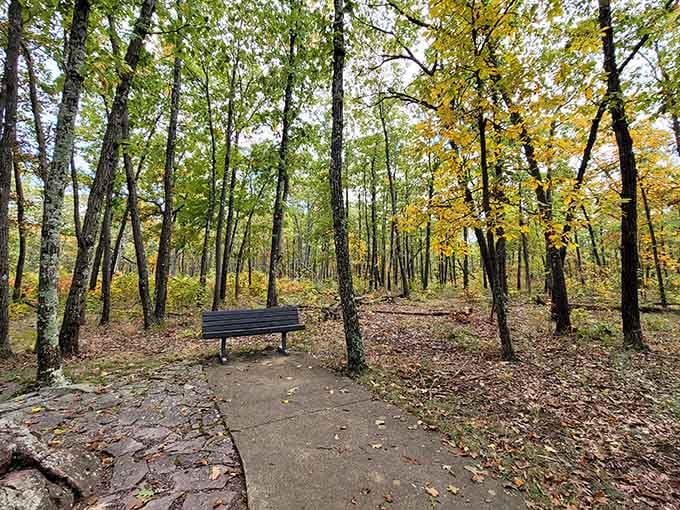 Even the bench here has a better view than most people's living rooms, and nobody's complaining about that.