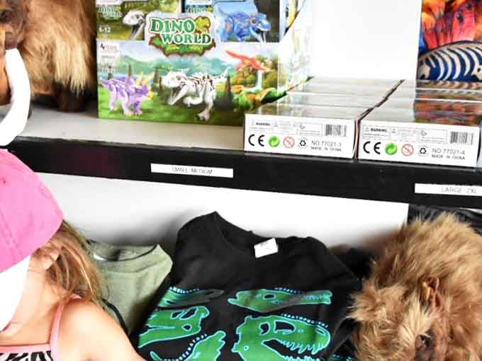 Dinosaur eggs, dino toys, and T-shirts, the gift shop is a kid's absolute dream come true.