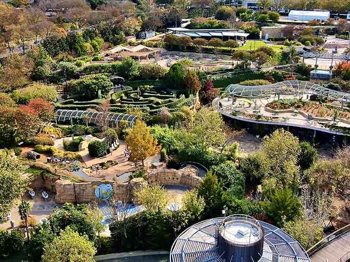 The children's adventure garden from above looks like someone designed a playground and forgot to stop dreaming.