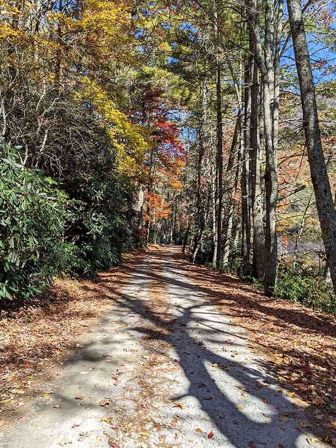 Fall turns this lakeside trail into a tunnel of color that would make any painter jealous.