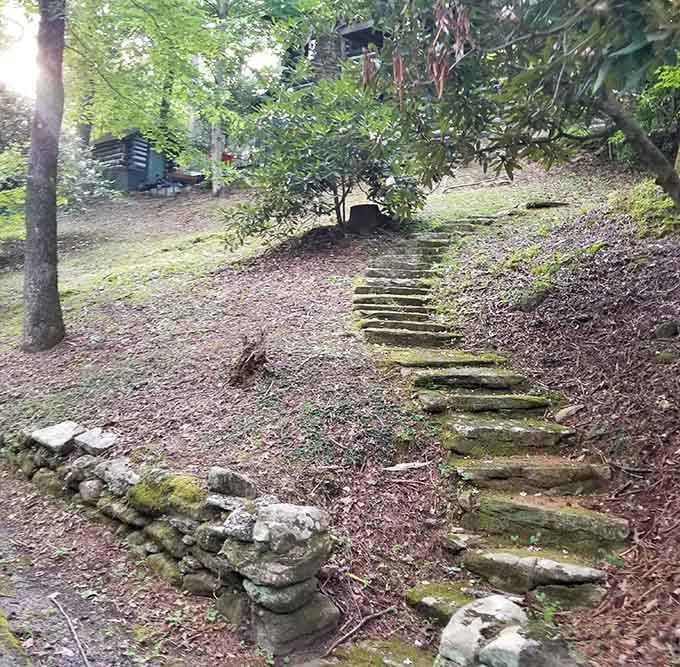 Mossy stone steps climbing through the trees. Somewhere up there, the cabin is waiting and it's not in a hurry.