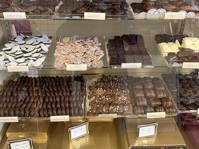 A chocolate case displaying more varieties than you knew existed, each one begging to be tasted.
