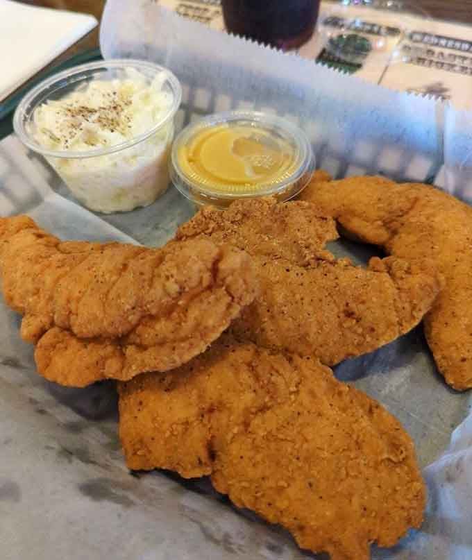 Golden chicken tenders with creamy coleslaw prove that simple done right beats complicated done wrong every single time, no contest.