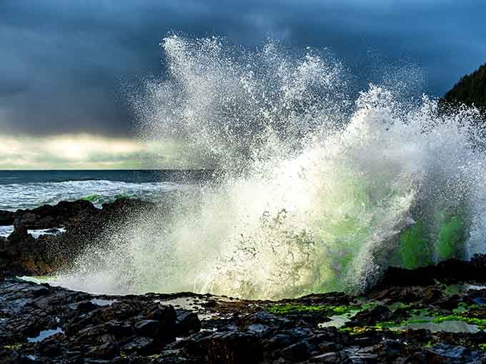 The rugged Oregon coastline provides the perfect backdrop for this aquatic magic show that never gets old.