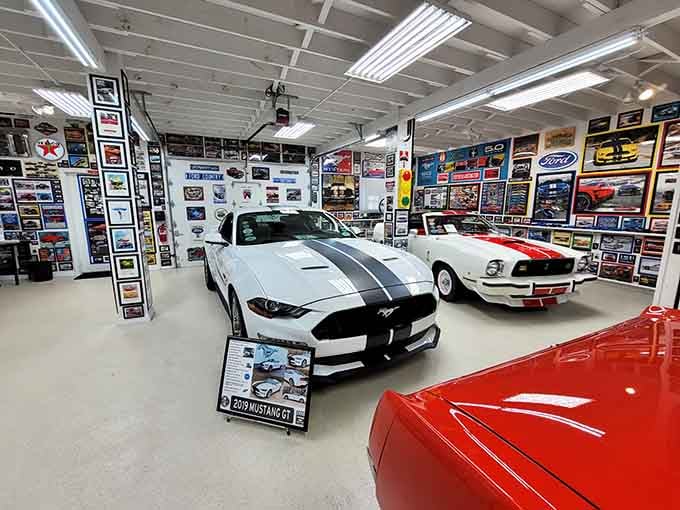 Classic Mustangs lined up and gleaming under bright lights, because some collections are less a hobby and more a full-time love affair.