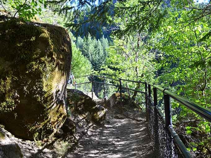 Sturdy railings guide you safely through the forest, because even paradise needs a little practical engineering.