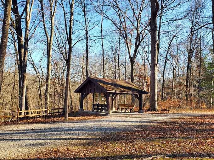 This quiet woodland shelter sits in winter light like a postcard nobody bothered to mail yet.