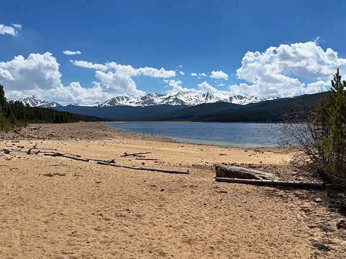 A sandy shoreline, driftwood scattered like nature's furniture, and snow-capped mountains framing the whole gorgeous scene perfectly.