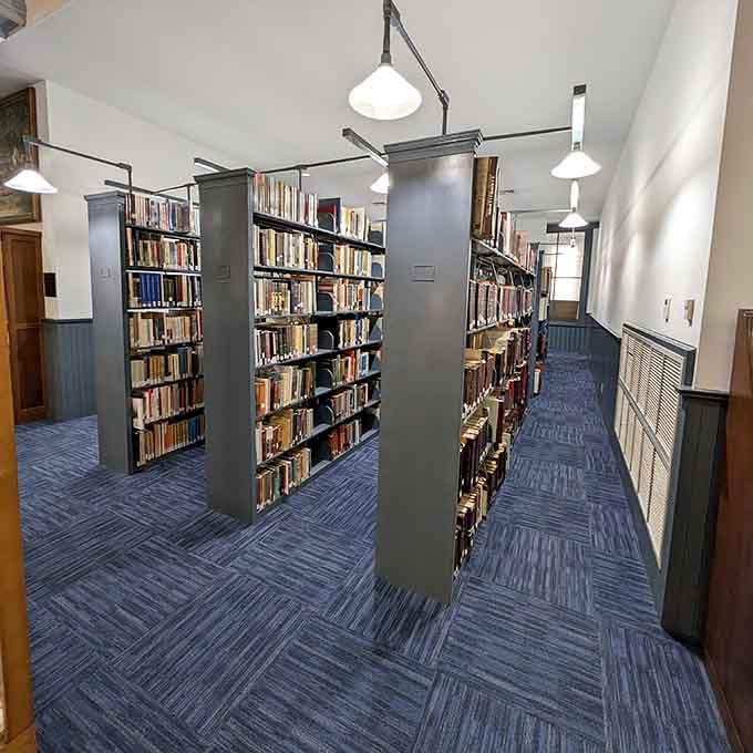 Row after row of books wait patiently for curious minds to discover the treasures hidden within their pages.
