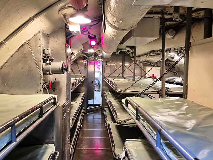 Narrow bunks, low ceilings, and a pink glow down the passageway: cozy isn't the word, but brave absolutely is.