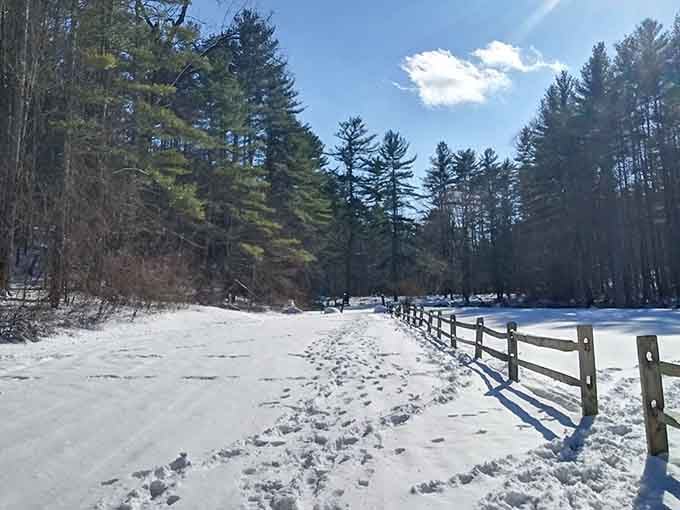Even buried in snow, Umpachene Falls Park has a quiet, cinematic beauty worth bundling up for.