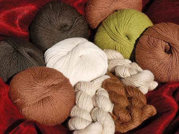 Soft, rich, and beautifully colored alpaca fiber. This is what luxury looks like before it becomes a sweater.