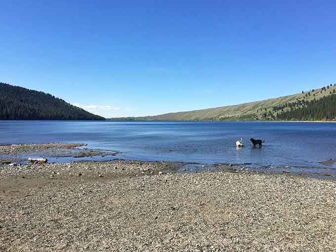 Your dog will absolutely love this beach, though they might question your sanity about the water temperature too.