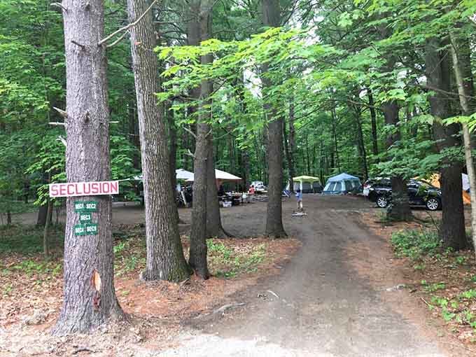 Wooded campsites provide that perfect balance of privacy and community, where neighbors wave but don't overstay their welcome.