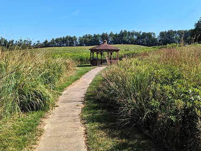 A quiet path, tall grasses, and a gazebo waiting at the end. Some walks just fix things.