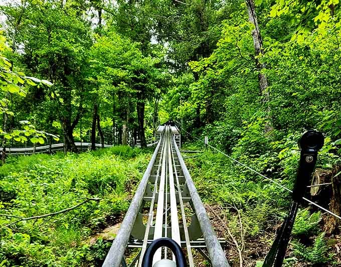 Dense forest canopy overhead, pure adrenaline underneath, and somewhere in between you're having the time of your life.