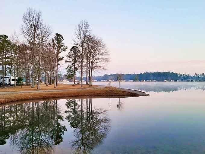Still water, bare trees, and a quiet morning sky that reminds you why South Carolina winters have their own kind of beauty.