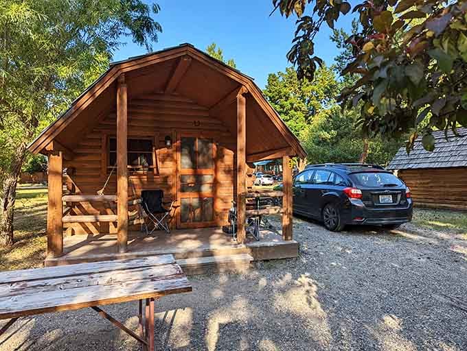 Log cabins offer the Western experience for folks who prefer four solid walls to canvas and wishful thinking.