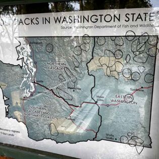 The Hidden Washington Sanctuary Where You Can Get Up Close With Wolves