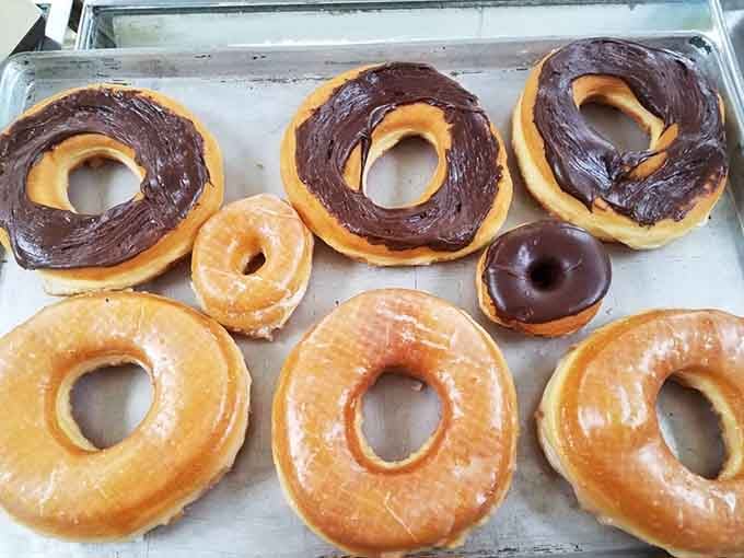 Glazed and chocolate side by side on a tray, proof that Woodlea Bakery never makes you choose just one.