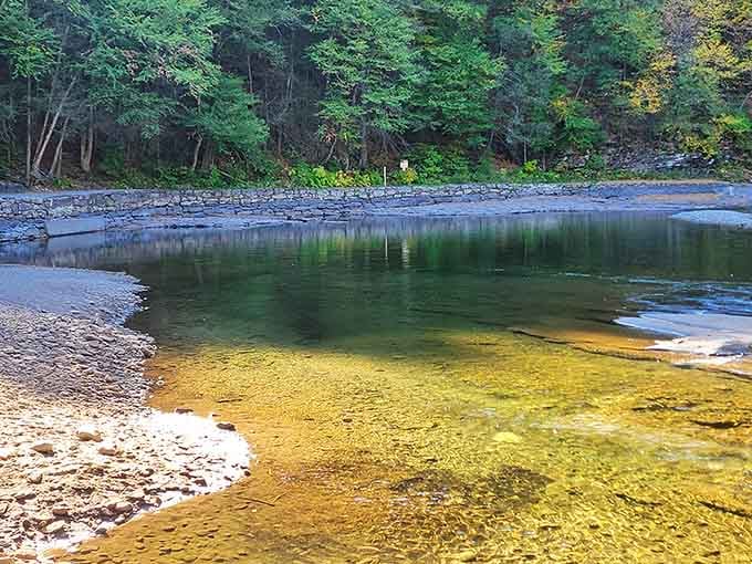 Loyalsock Creek runs so clear and green you'd swear someone installed mood lighting just for the occasion.
