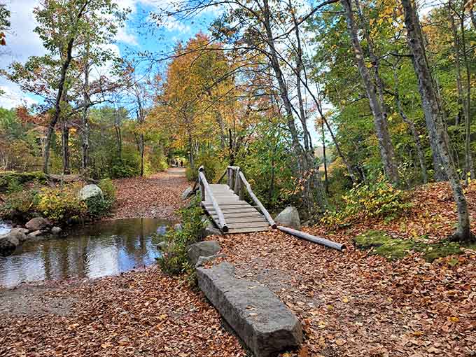 A rustic footbridge crosses peaceful waters surrounded by autumn leaves, creating the perfect spot for quiet contemplation and reflection.