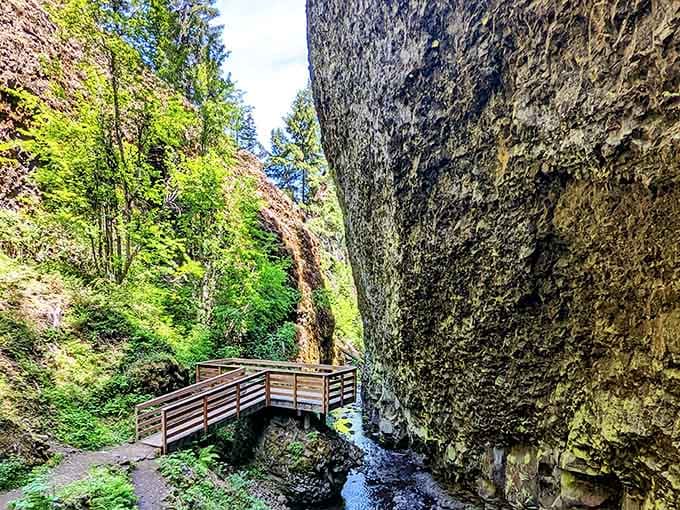 That towering moss-covered rock wall and wooden bridge inside Boulder Cave make you feel wonderfully small in the best possible way.