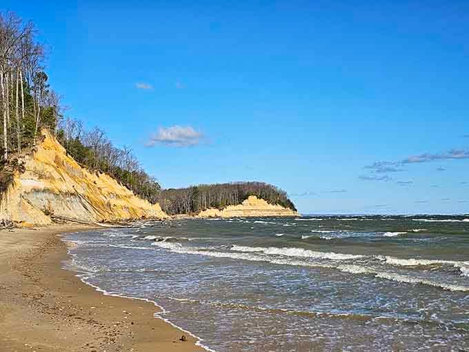 Those towering golden cliffs rising dramatically from the Chesapeake Bay shoreline look like something a geology professor would write home about excitedly.