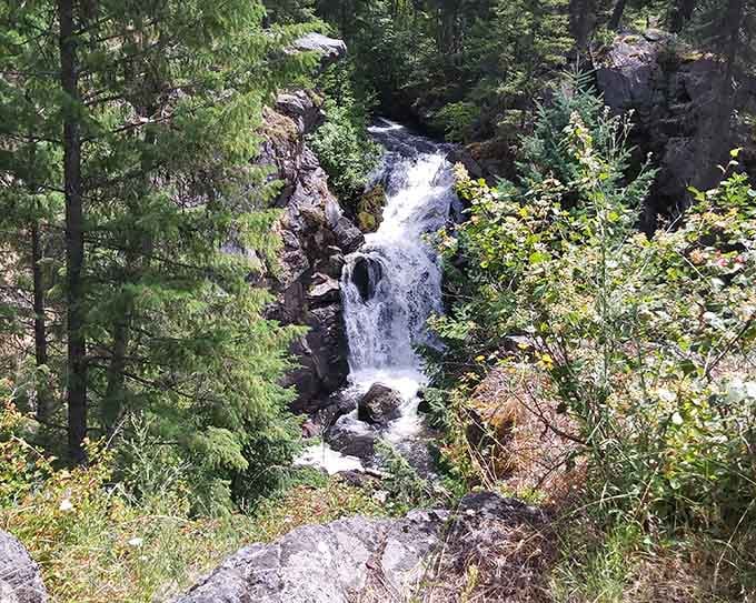 Like a bridal veil, water streams down the cliff face in delicate threads against brilliant green trees.