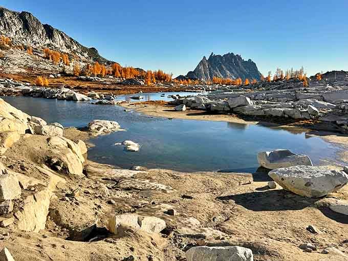 Golden larches blaze against granite boulders and a still alpine pool, autumn arriving here like a standing ovation.