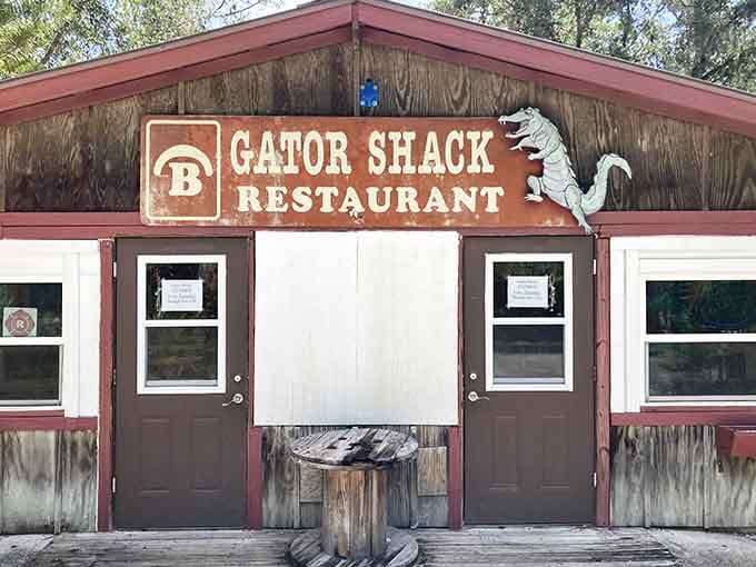 That leaping gator on the sign looks thrilled to be here, and honestly, once you arrive at Gator Shack, you will be too.