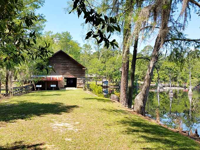 The old mill barn at George L. Smith sits beside cypress-lined water so still it looks like the world paused.