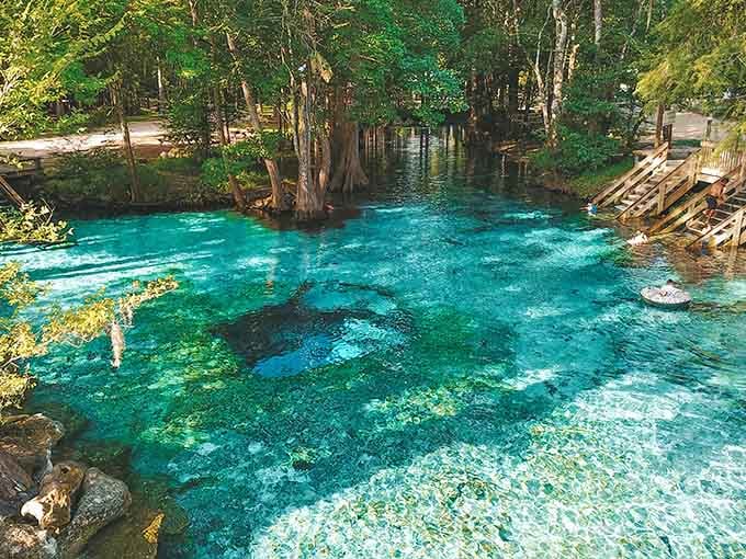 That graceful old stairs arching over crystal clear spring water, framed by tropical green, is a scene straight out of a Florida dream.