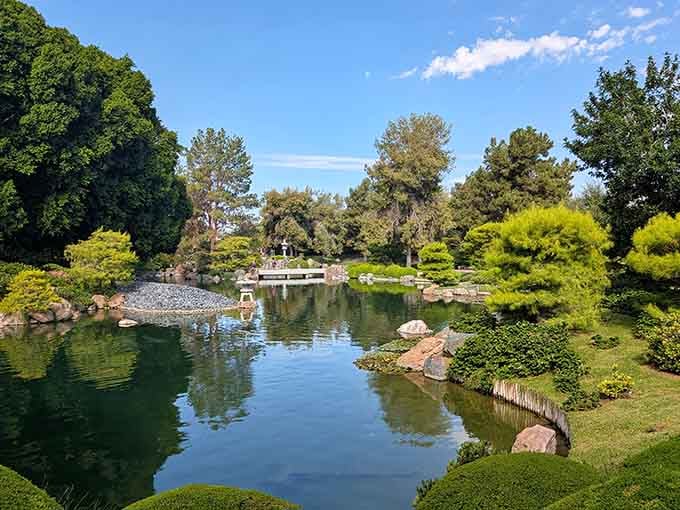Phoenix hides a serene koi pond and stone lanterns behind city walls, like a well-kept neighborhood secret.