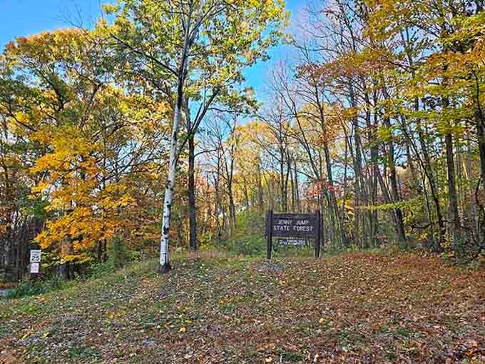 That welcoming sign says it all, Jenny Jump State Forest is dressed and ready for fall.