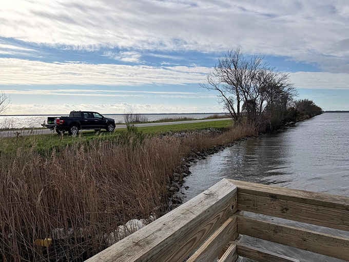 That narrow causeway road at Lake Mattamuskeet sits between two worlds, open water on both sides and sky everywhere.