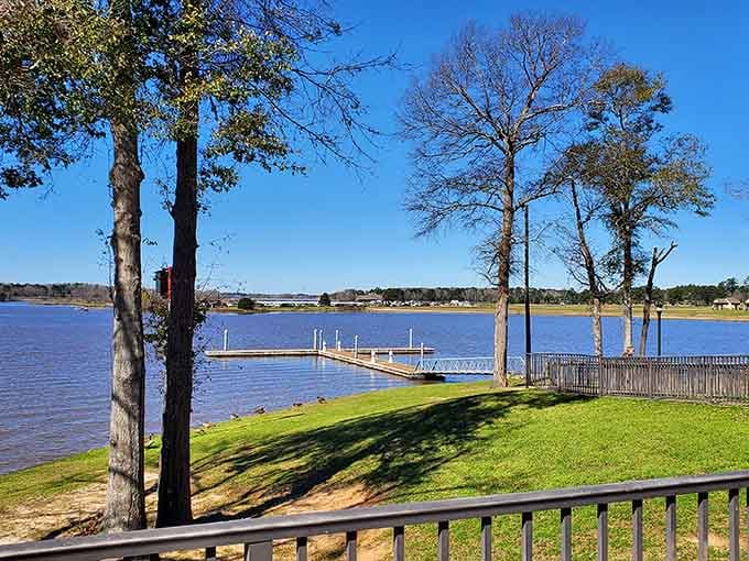Lakepoint's wide open water stretches toward the horizon, framed by tall trees and a sky so blue it almost hurts.