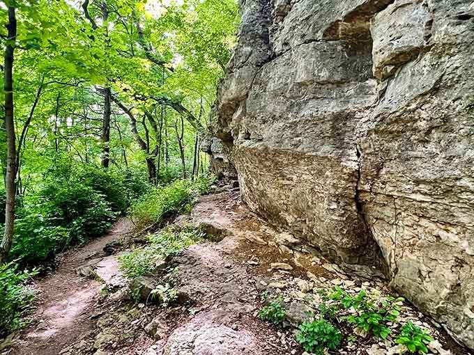 That towering sandstone bluff isn't just scenery, it's millions of years of Missouri geology leaning in to say hello.