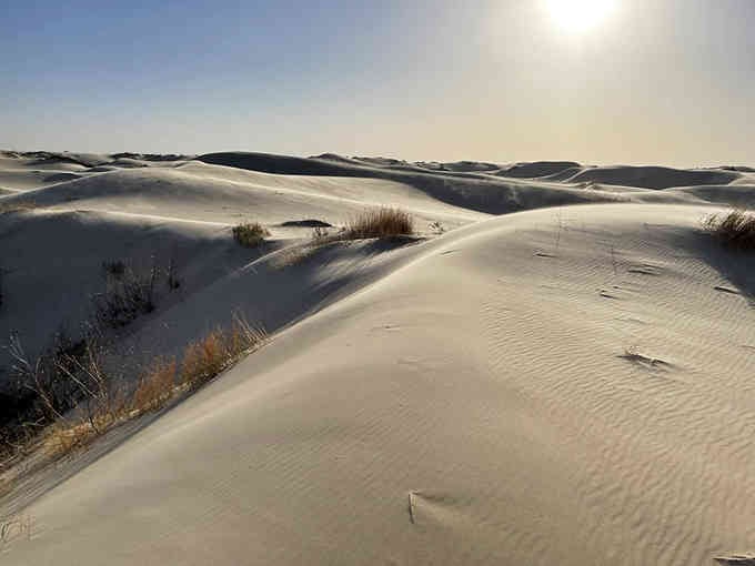 Golden sand dunes roll endlessly like waves frozen in time—bring your sled for desert snow day fun.