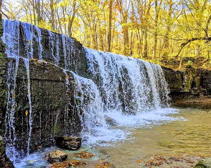 Hidden Falls spills over mossy limestone ledges while golden autumn leaves drift down like nature's own confetti celebration.