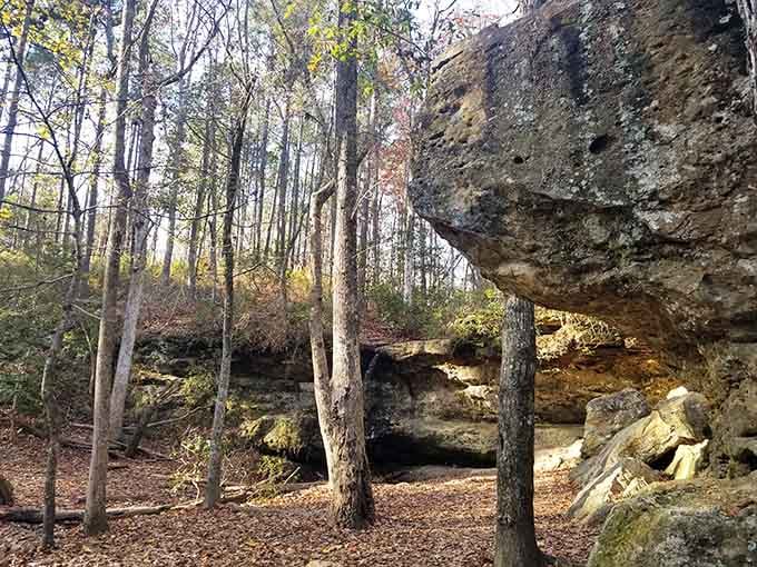 Peachtree Rock's dramatic sandstone overhang looms over the forest floor like nature decided to build its own front porch.