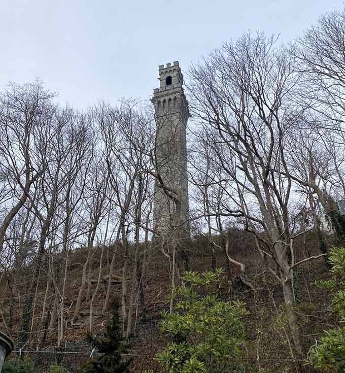 Rising dramatically through bare winter branches, this 252-foot granite tower commands attention like a history professor who means business.