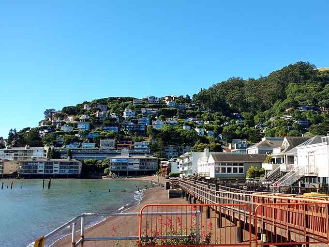 Colorful homes tumbling down a green hillside to the bay &mdash; Sausalito clearly skipped the ugly phase entirely.